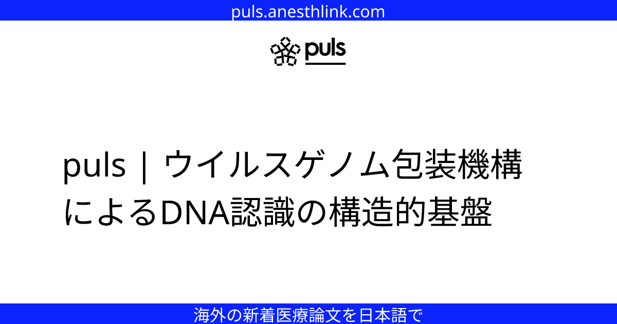 puls | ウイルスゲノム包装機構によるDNA認識の構造的基盤
